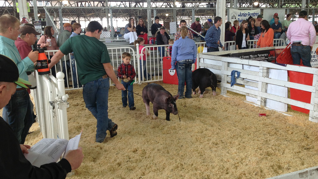 World Pork Expo 2013 - Reports - pig333, pig to pork community