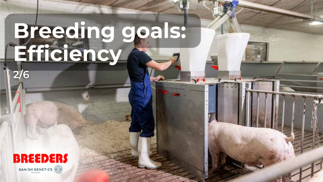 Breeding goals (2/6): Efficiency - Breeders of Denmark A/S - Danish ...