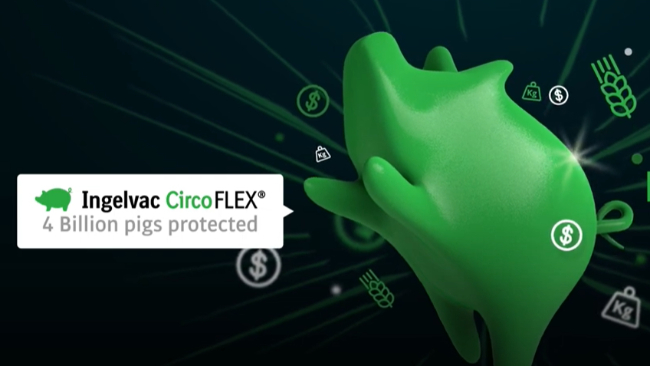 Ingelvac CircoFLEX - Productivity Unleashed - Boehringer Ingelheim ...