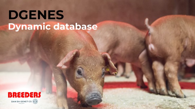 DGENES, dynamic database - Breeders of Denmark A/S - Danish Genetics ...