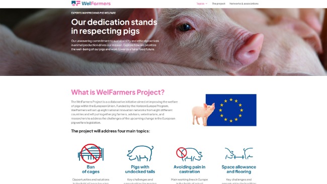WelFarmers Project launches dedicated Website: A Hub for Advancing Pig ...