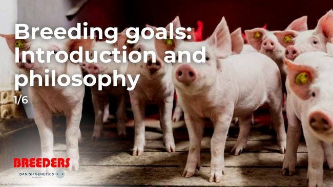 Breeding goals (1/6): Introduction and philosophy - Breeders of Denmark ...